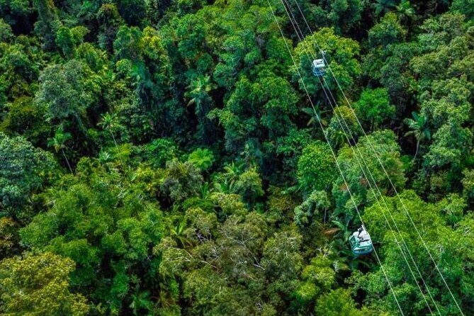 Small Group Waterfall Wetlands+ Skyrail All Inclusive from Cairns - Practical Details: What Makes This Tour Stand Out