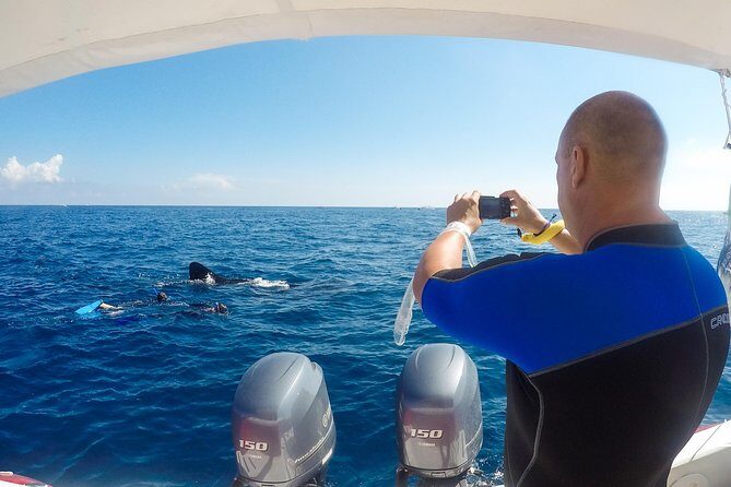 Small Group Whale Shark Encounter - 10 years in business