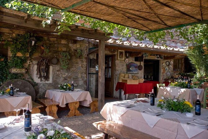 SMALL-GROUP Wine Safaris: Tuscan Wine Tasting Tours from Florence - What to Expect on Your Tuscan Wine Safari
