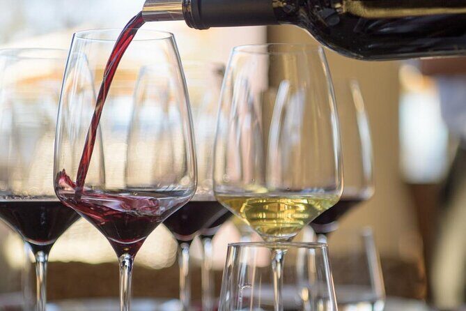 Small group Wine Tasting Tour from Lagos - Final Verdict