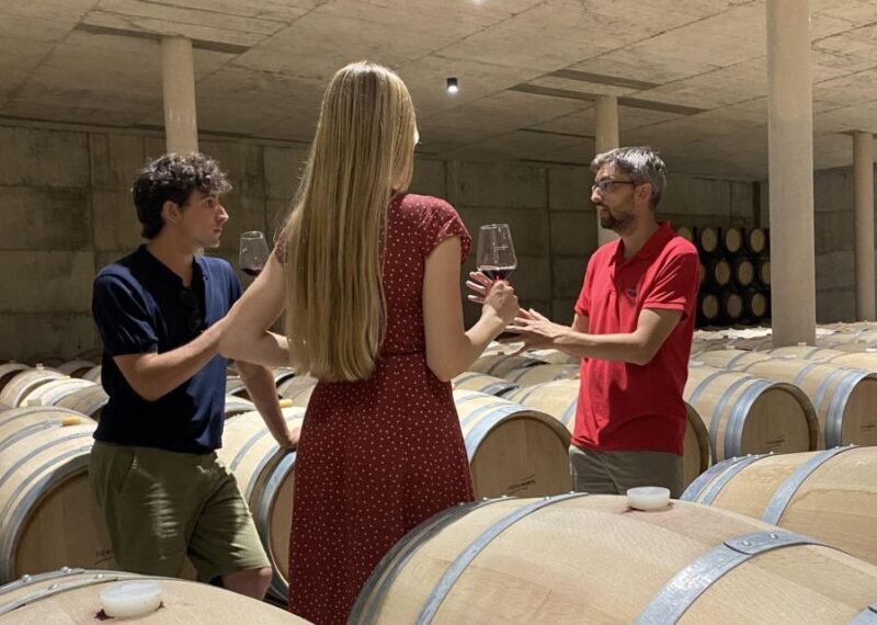 Small-Group Wine Tour from Valencia with Tastings Max 7 - Tasting, Pairing, and Scenic Relaxation