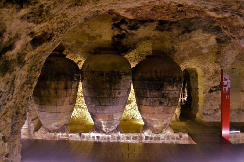 Small-Group Wine Tour from Valencia with Tastings Max 7 - Who Should Consider This Tour?