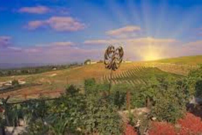 Small Group Wine Tour to Temecula from Los Angeles - Authentic Experiences from Reviewers