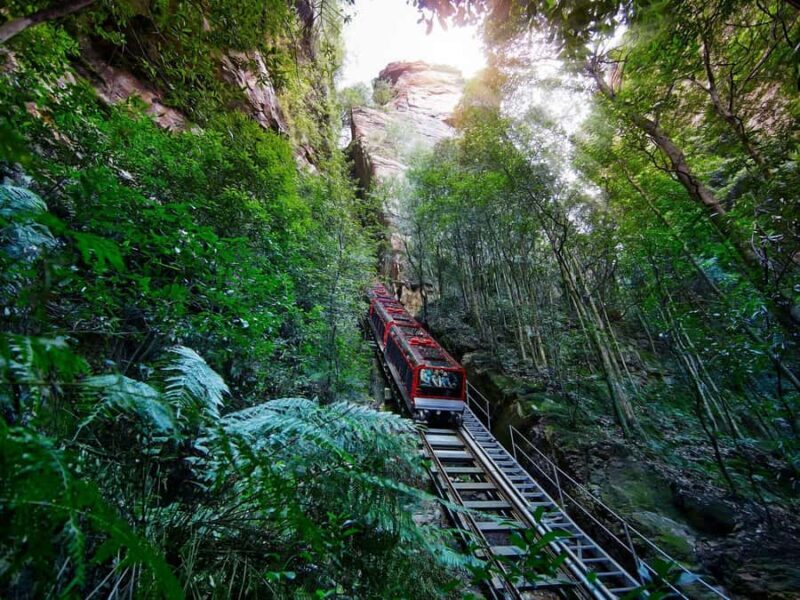 Small Group: Zoo, Blue Mountains, Scenic World Mandarin Tour - FAQ
