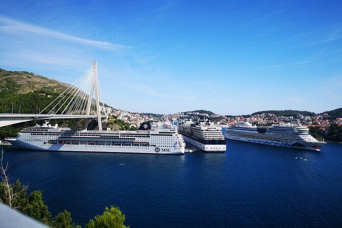 Small grup Highlights of Dubrovnik Panorama Tour - Who Is This Tour Best Suited For?