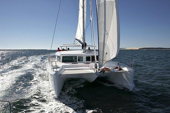 Small Private Catamaran Sunset Tours in San Diego - Who Should Consider This Tour?  