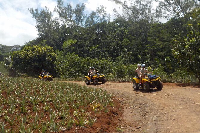 Small Quad Tour 2h30 Quad excursion in Moorea (single or two-seater) - Key Points