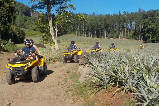 Small Quad Tour 2h30 Quad excursion in Moorea (single or two-seater) - FAQs