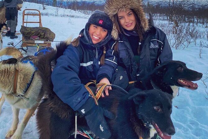 Small scale and Intimate Wilderness Dog Sledding 2h from Tromsø - The Sum Up: Is This Tour for You?