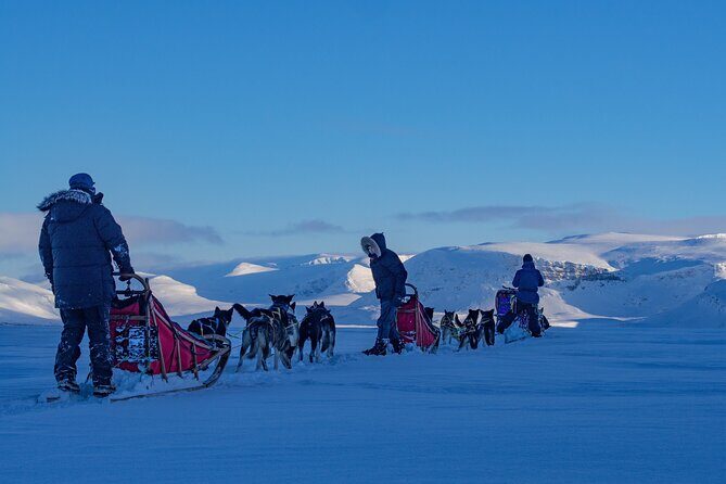 Small scale and Intimate Wilderness Dog Sledding 2h from Tromsø - FAQ
