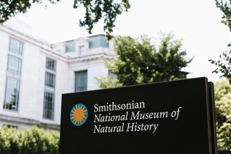 Smithsonian Natural History Museum Tour Semi-Private 8ppl - Key Points