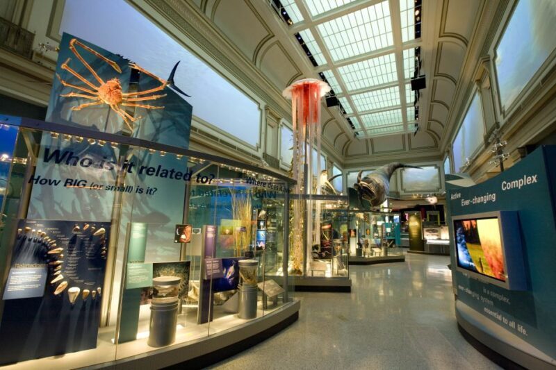 Smithsonian Natural History Museum Tour Semi-Private 8ppl - FAQ