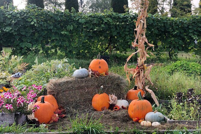 Smokies, S'mores, Mulled Wine and Fall Fun at Kelowna Winery - FAQ