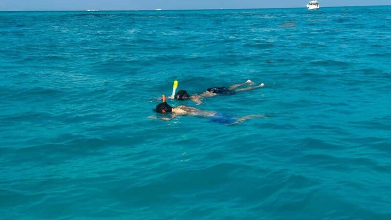 Snorkel Adventure for All Ages in Cancun 2.5 hrs - Key Points