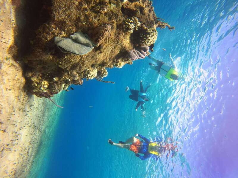 Snorkel along the coast with Chivis Del Mar. - The Value of the Experience