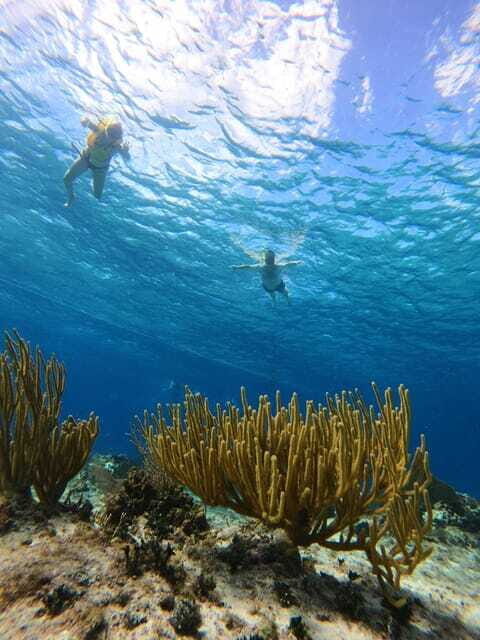 Snorkel along the coast with Chivis Del Mar. - Practical Tips for a Smooth Trip