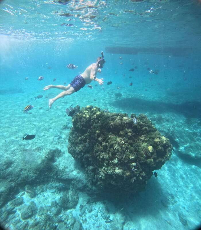 Snorkel along the coast with Chivis Del Mar. - FAQ