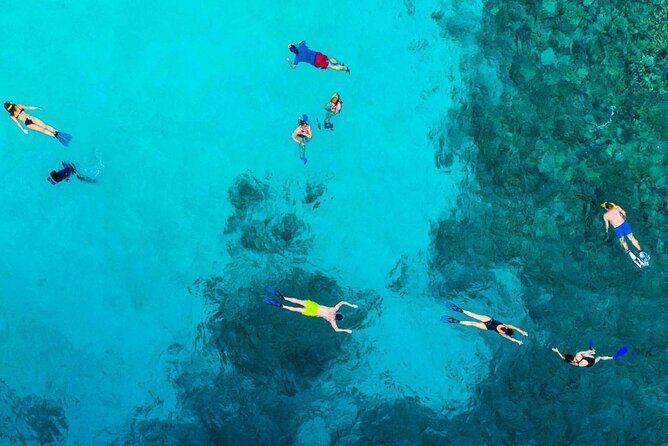 Snorkel and arch tour in los cabos - Practical Tips for Travelers