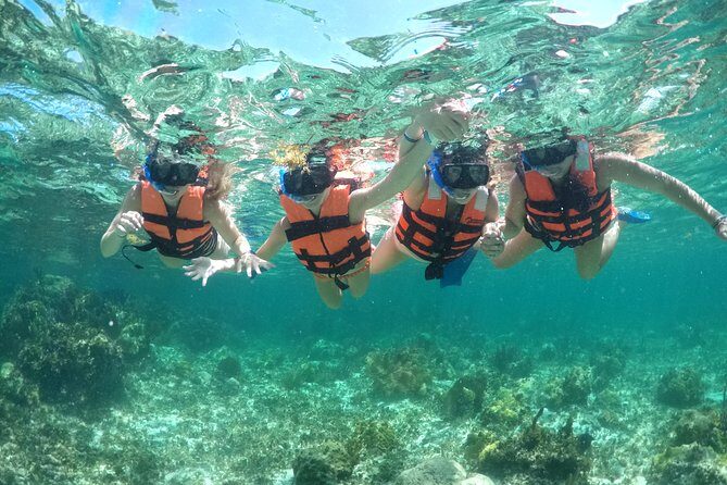 Snorkel and catamaran to Isla Mujeres - Snorkeling and Marine Encounters