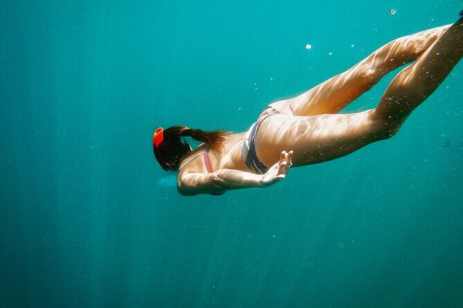 Snorkel and Whale Platinum Tour (Dec 15- Apr 15) - Practical Tips for Your Tour Experience