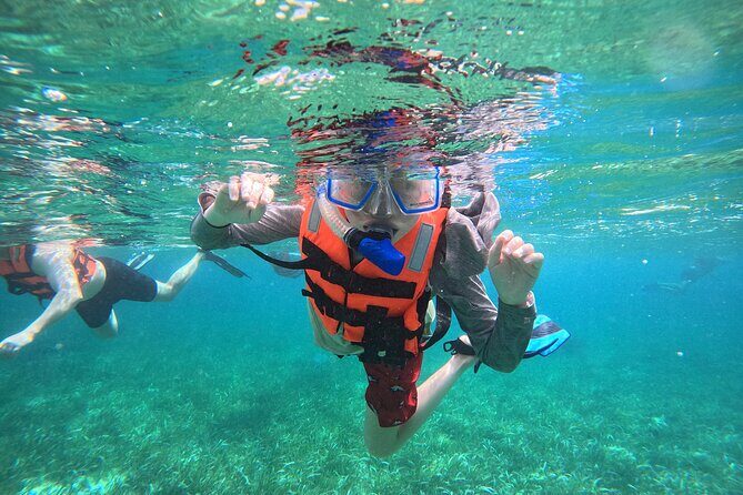 Snorkel at the Reef 2 HOURS Puerto Morelos National park - Key Points