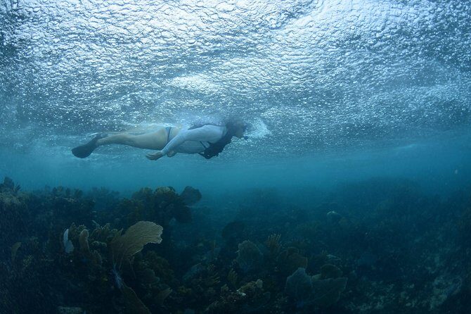 Snorkel, ATV, Zipline and Cenote Adventure from Cancun - Final Word