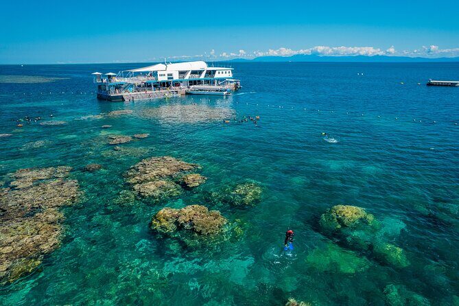 Snorkel & Dive the Reef: Sustainable, Scientific & Cultural Tour - The Experience: What to Expect from Start to Finish