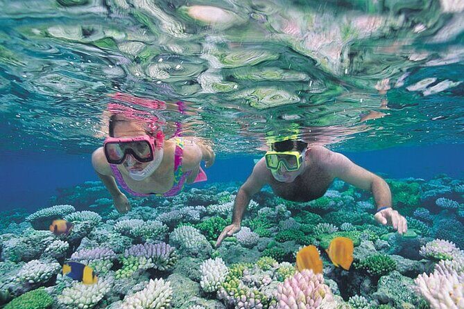 Snorkel Experience in Caleta de Fuste - Who Should Book This Tour?
