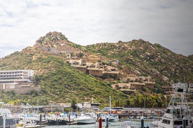 Snorkel & Explore Pelican Rock by Glass Boat + Photos - Final Verdict