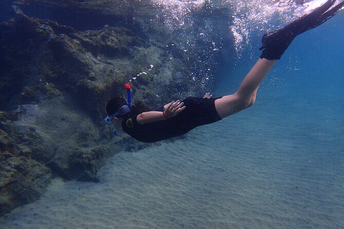 Snorkel in Lanzarote with Guide - Why This Tour Offers Great Value