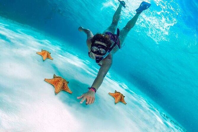 Snorkel in Paradise Cozumel El Cielito Palancar Reef Colombia - Practical Tips for Your Trip