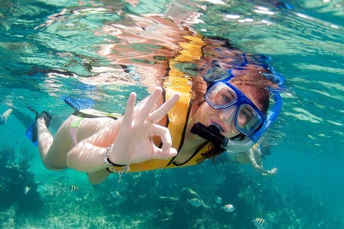 Snorkel in the second largest reef in the world Colorful tour in Puerto Morelos - Is This Tour Worth It?  