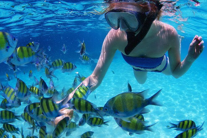 Snorkel in the second largest reef in the world Colorful tour in Puerto Morelos - FAQs  
