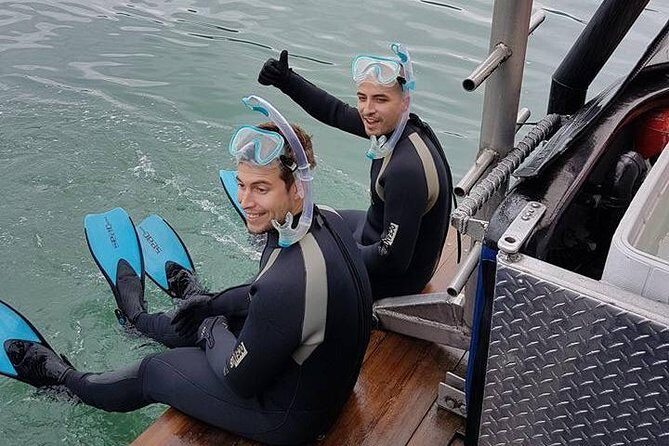 Snorkel, Kayak, and Seal Adventure: Vancouver Boat Tour - Practical Tips for Travelers