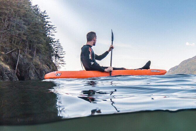 Snorkel, Kayak, and Seal Adventure: Vancouver Boat Tour - Who Should Take This Tour?