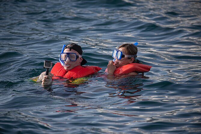 Snorkel, Lunch & Sail in Cabo San Lucas - Who Is This Tour Best For?