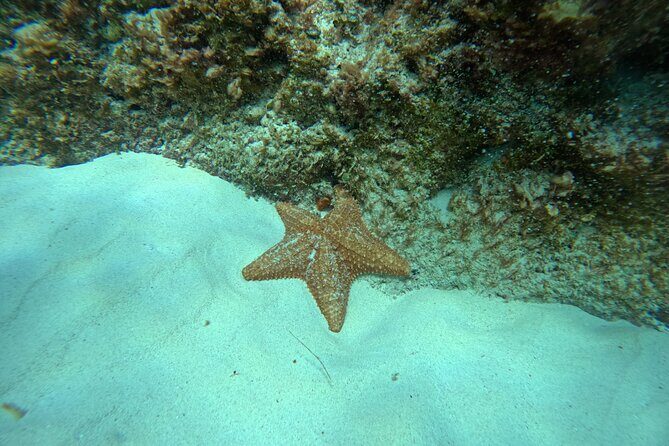 Snorkel Paradise Cancun 5 in 1 For Non Swimmers - FAQ