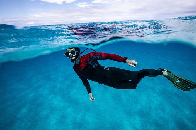 Snorkel Rental 24h, discover Tenerifes Ocean on your own! - Summary