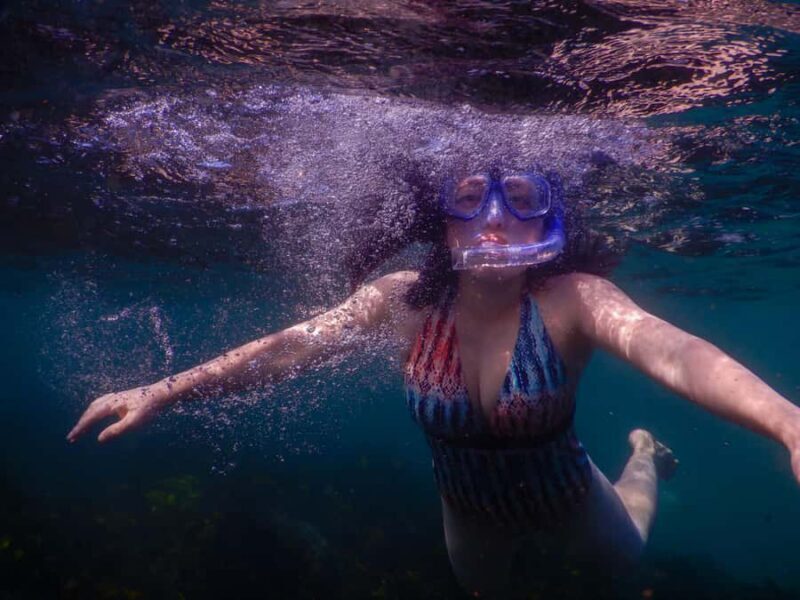 Snorkel Sydneys Stunning Marine Reserve on a Private Tour - Who Should Consider This Tour?