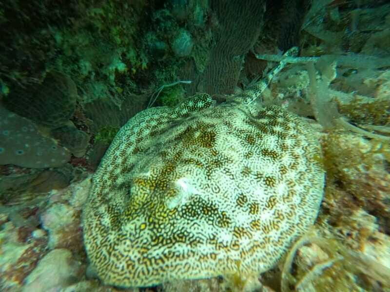 SNORKEL & TEQUILA TASTING - Final Thoughts