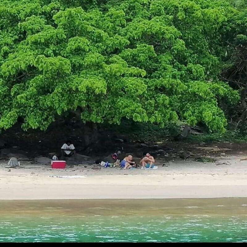 Snorkel to Playa del Toro departing from Sayulita : day at the beach - An in-depth look at the Playa del Toro snorkeling tour