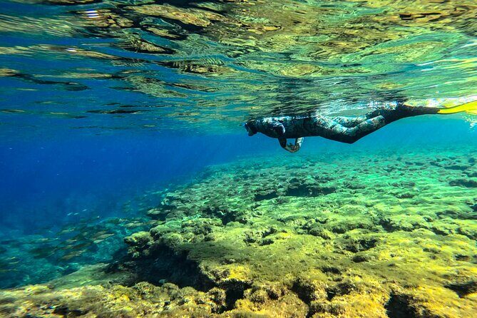 Snorkel Tour in Malta & Gozo in Winter by local guide with photos - An In-Depth Look at the Snorkel Tour Experience