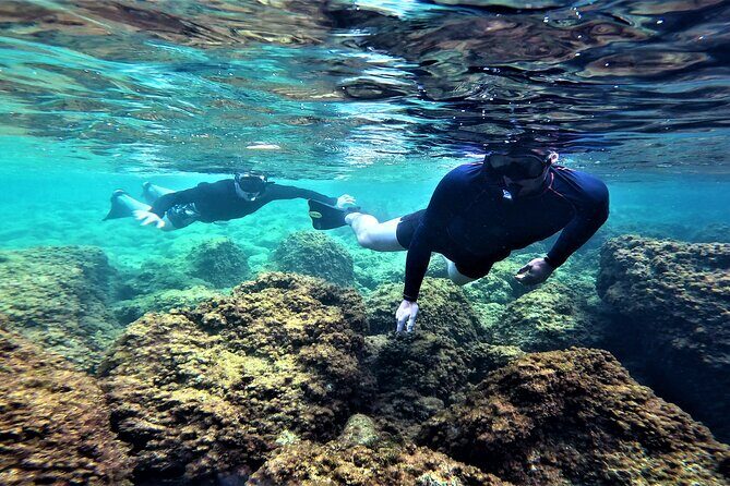 Snorkel Tour in Malta & Gozo in Winter by local guide with photos - Who Should Consider This Snorkel Tour?