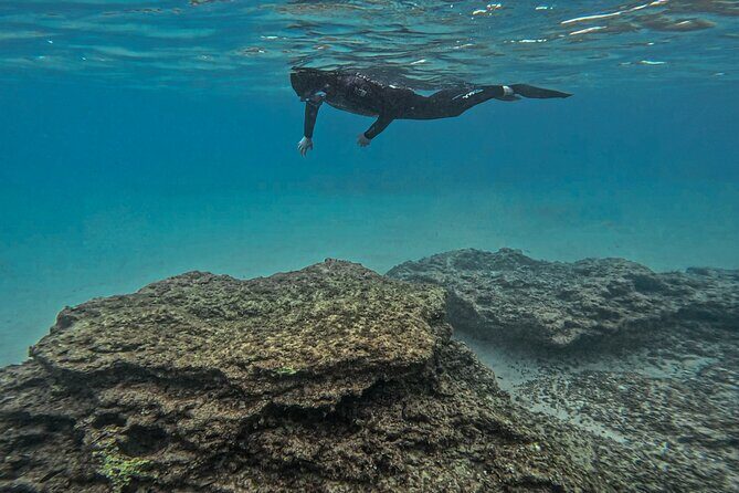 Snorkel Tour in Malta & Gozo in Winter by local guide with photos - Final Thoughts