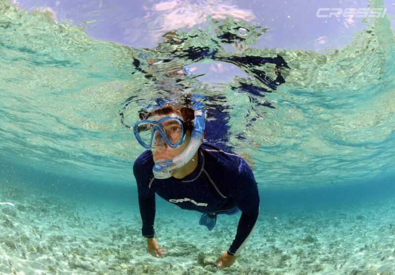 Snorkel tour, why not? - Who Would Love This Tour?