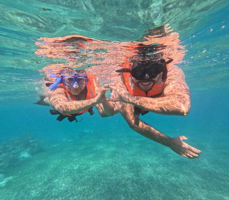 snorkel with tropical fish, reefs, and in search of turtles - What to Expect During the Tour