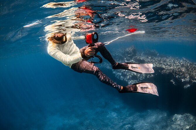 Snorkel with Turtles and Free Underwater Photos Lahaina - Duration, Group Size, & Practical Details