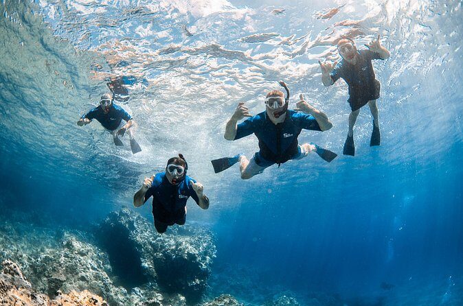 Snorkel with Turtles and Free Underwater Photos Lahaina - FAQ