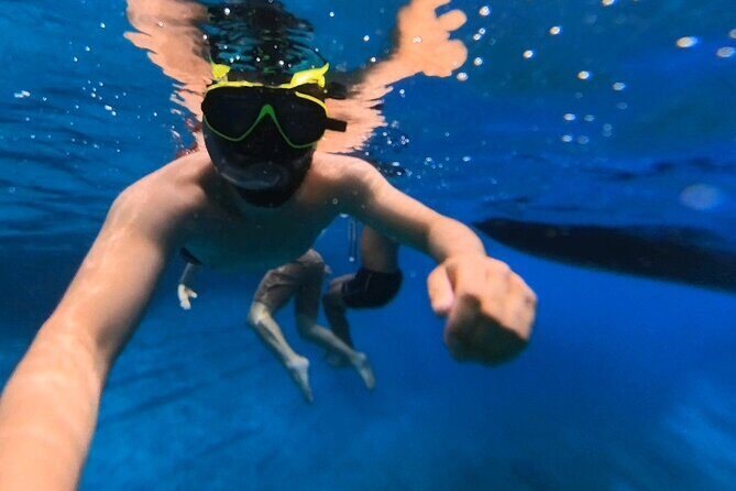 Snorkeling 360 Experience in Sazan Island & Karaburun - FAQ Section