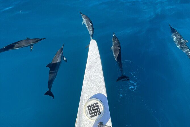 Snorkeling Adventure at Turtle Canyon - Authentic Experiences from Reviewers